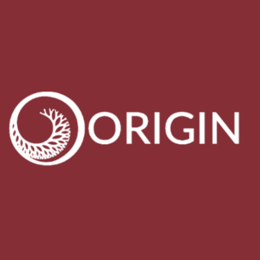 origin-360.com